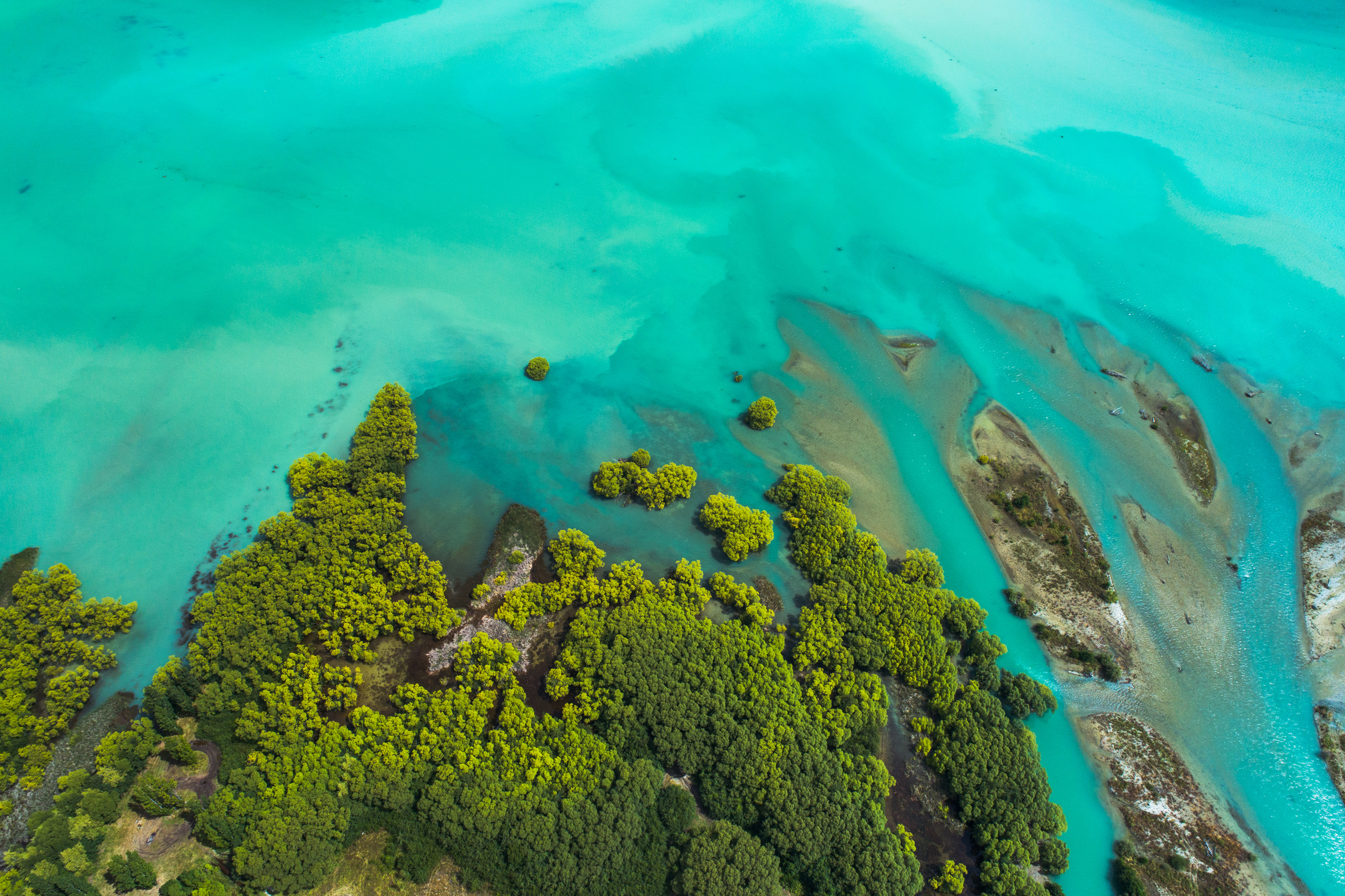 Cocoon | Cold Shipping Container Solutions | World Courier