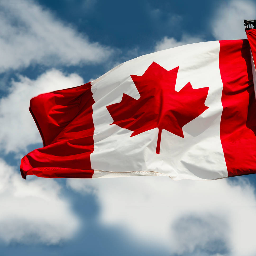 Our Integrated Model | Innomar Strategies