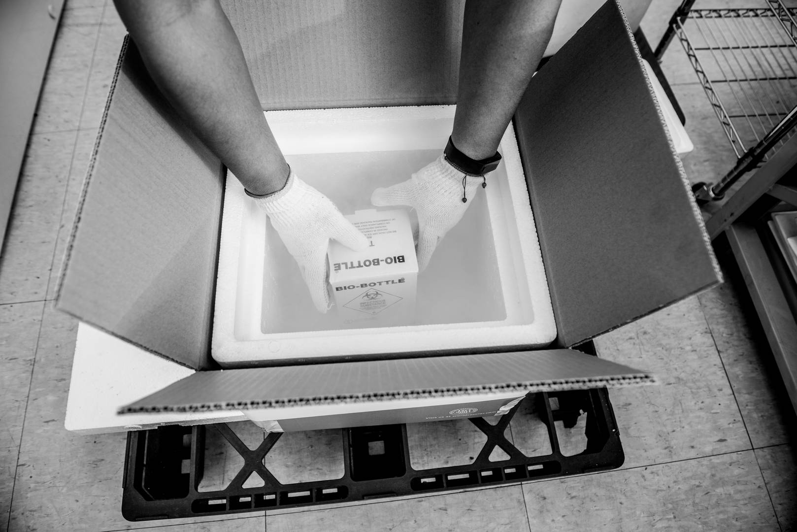 월드쿠리어의 전문성 | World Courier